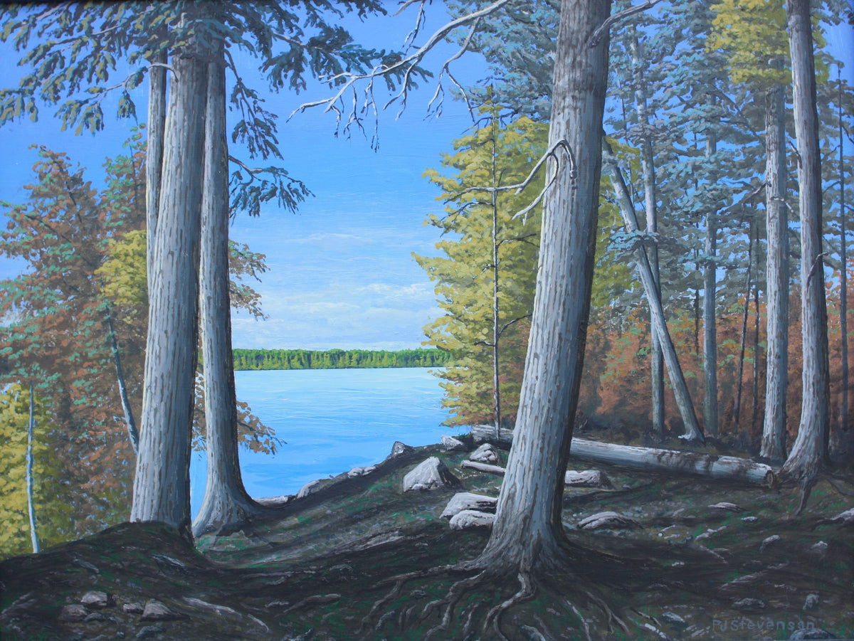 Campsite – McMaster Fine Art