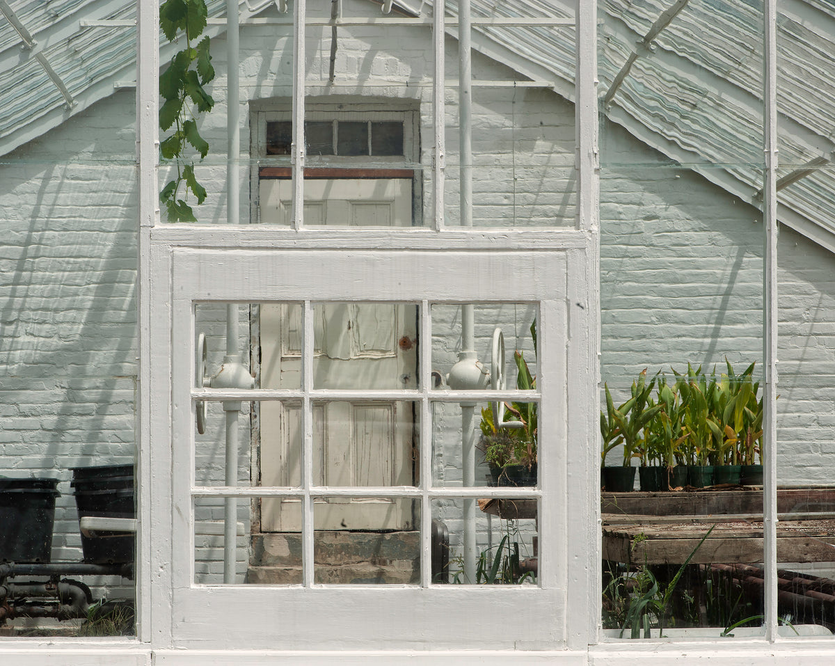 Sam's Greenhouse – McMaster Fine Art